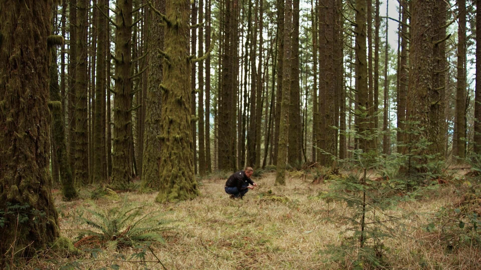 Untold Earth | Season 1, Episode 11 | Truffles Are Hiding a Dirty Little Secret | Nature | PBS