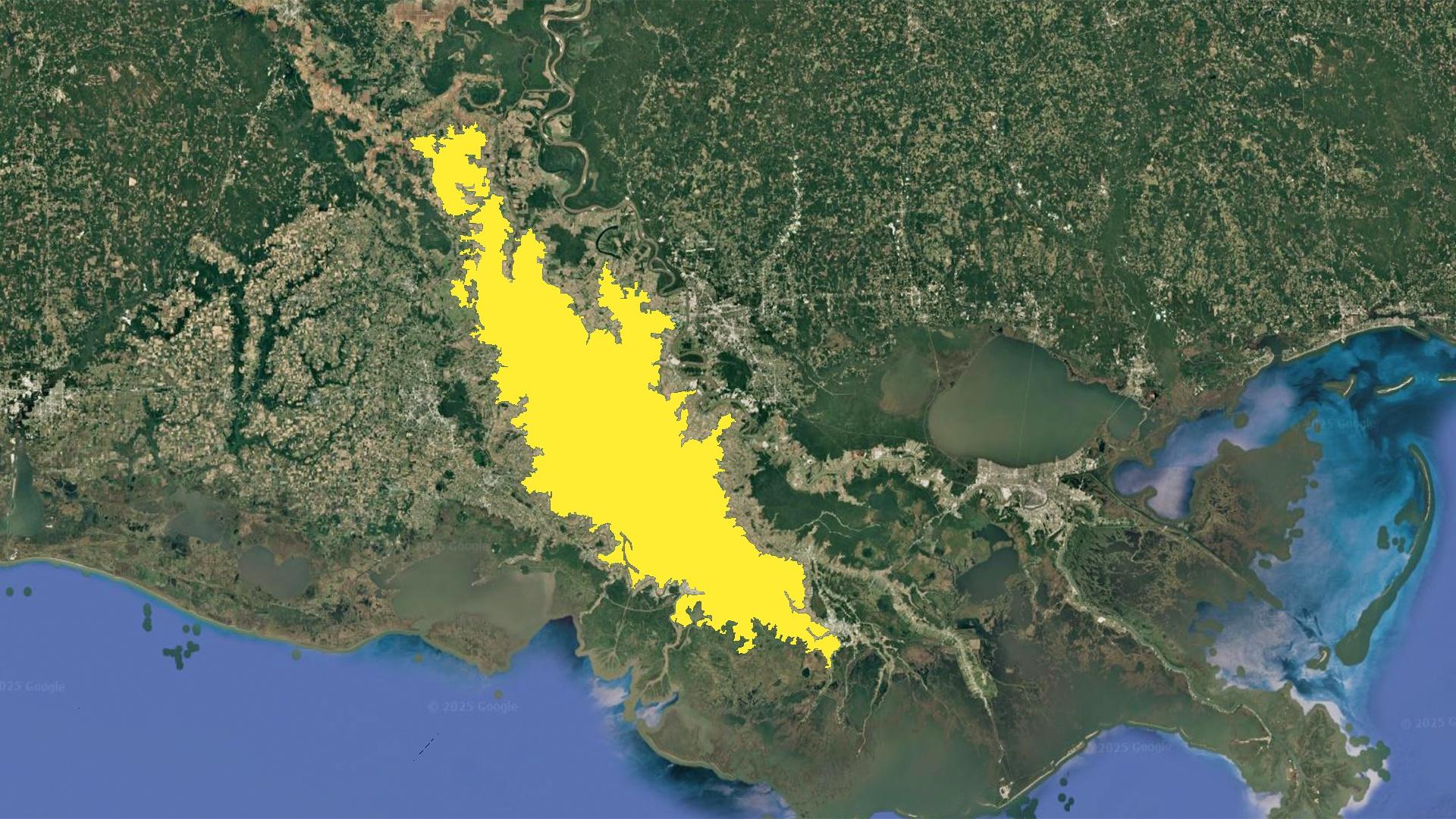 Untold Earth | Season 2, Episode 2 | How Louisiana's Mega Swamp Breaks Hurricanes | Nature | PBS