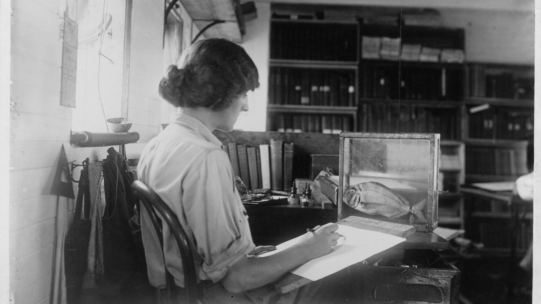 Charting New Waters: The Scientific Legacy of the Women of the Arcturus ...