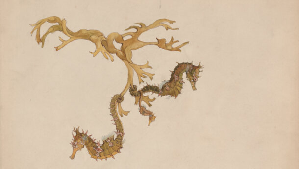 Charting New Waters: The Scientific Legacy of the Women of the Arcturus ...
