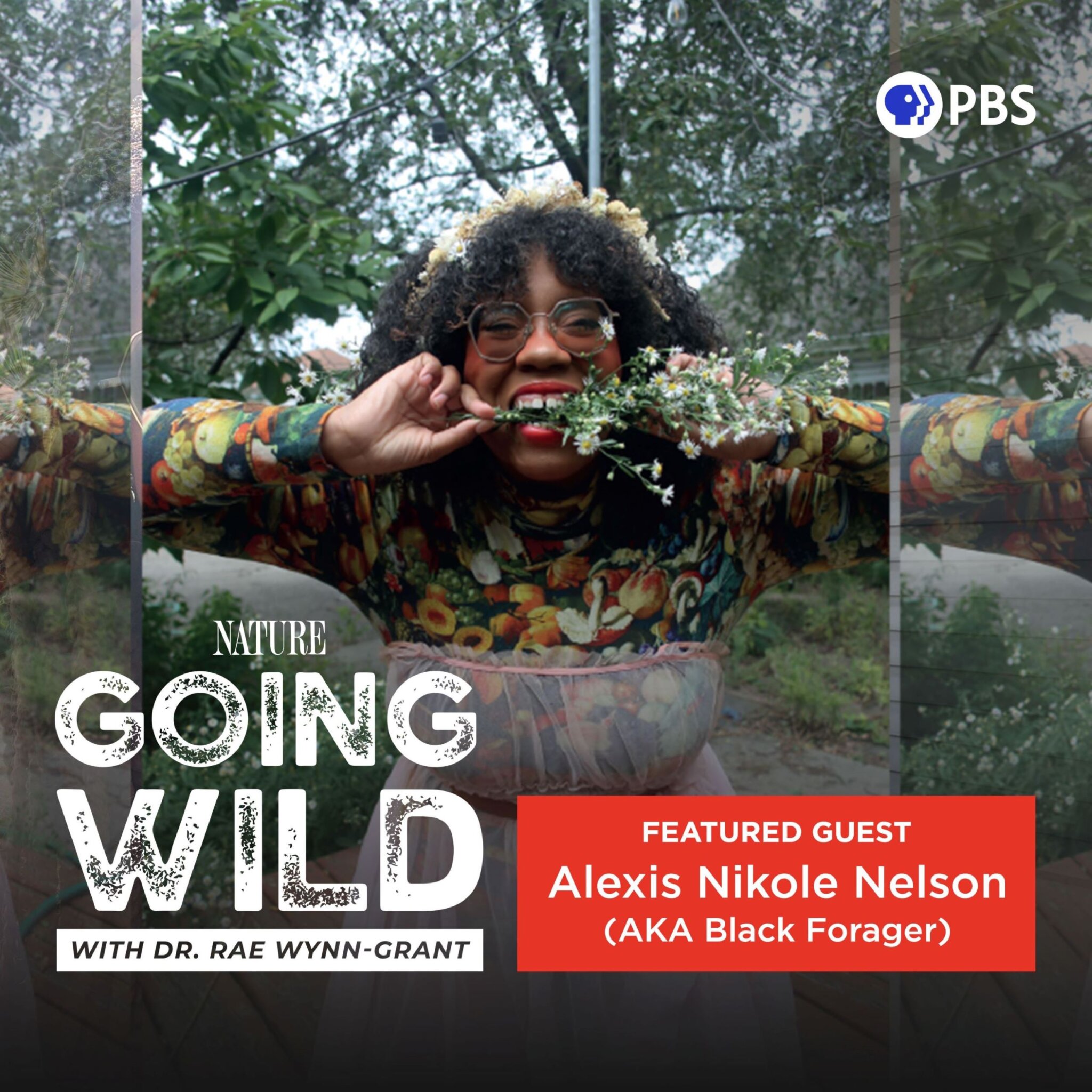 From Foraging to Fame: How Alexis Nikole Nelson became @blackforager ...