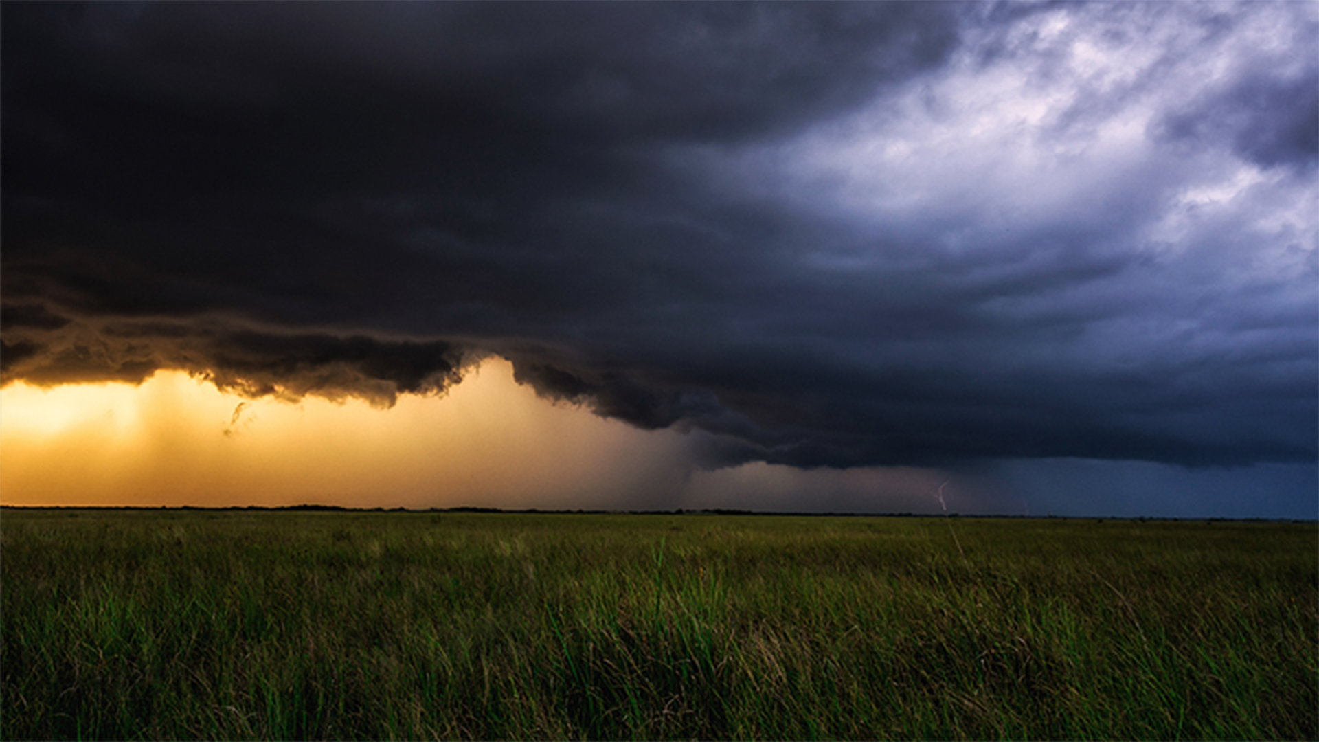 Everglades Fact Sheet | Blog | Nature | PBS