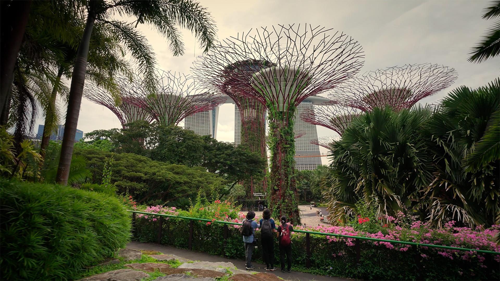 A City in Nature | WILD HOPE | Nature | PBS