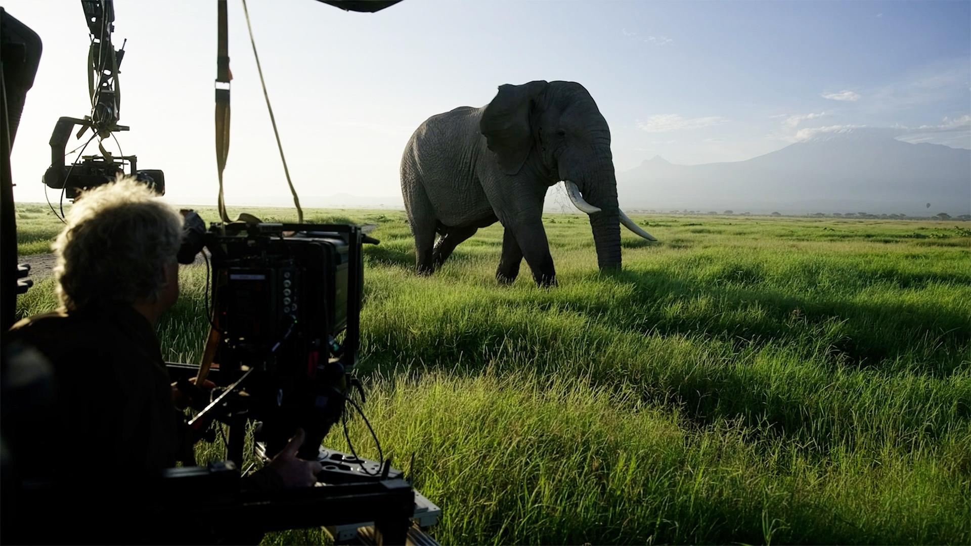 Tusker: Brotherhood of Giants | The Making of Tusker | Nature | PBS
