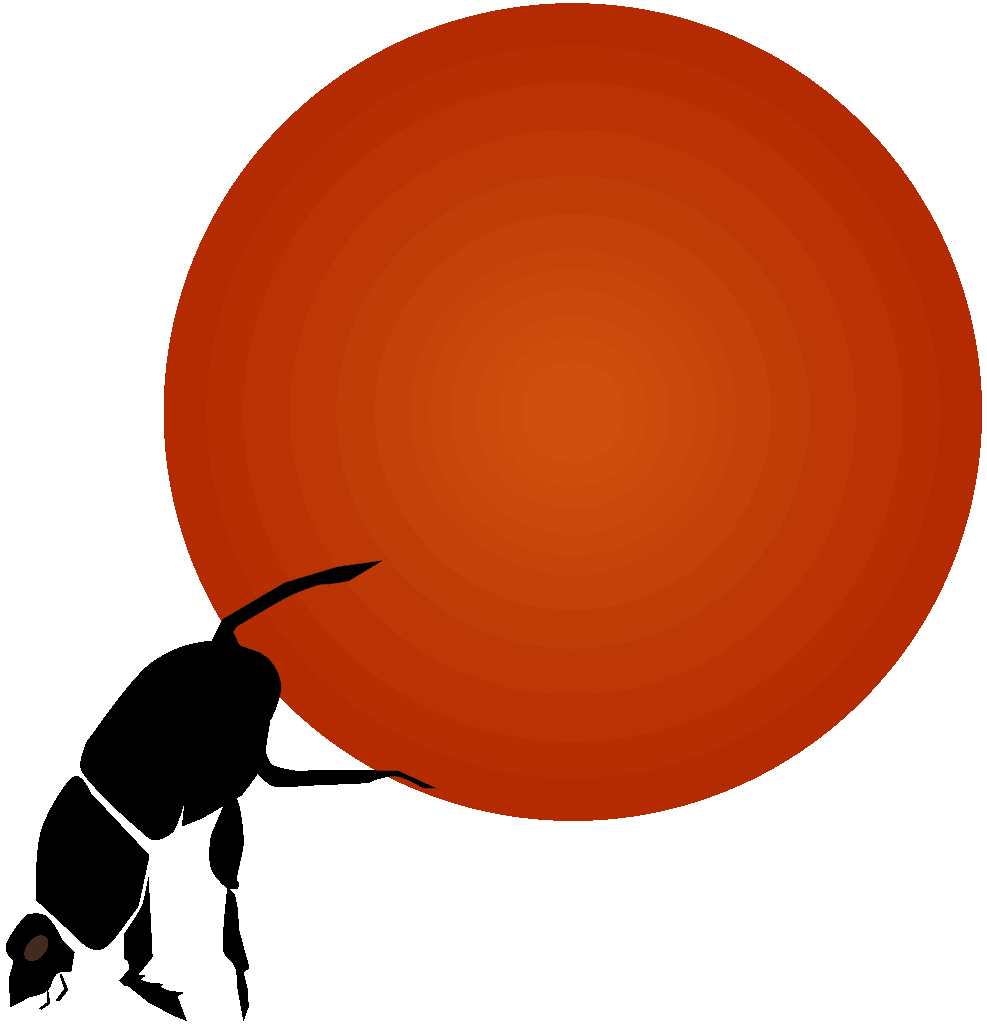 Navigators in daylight