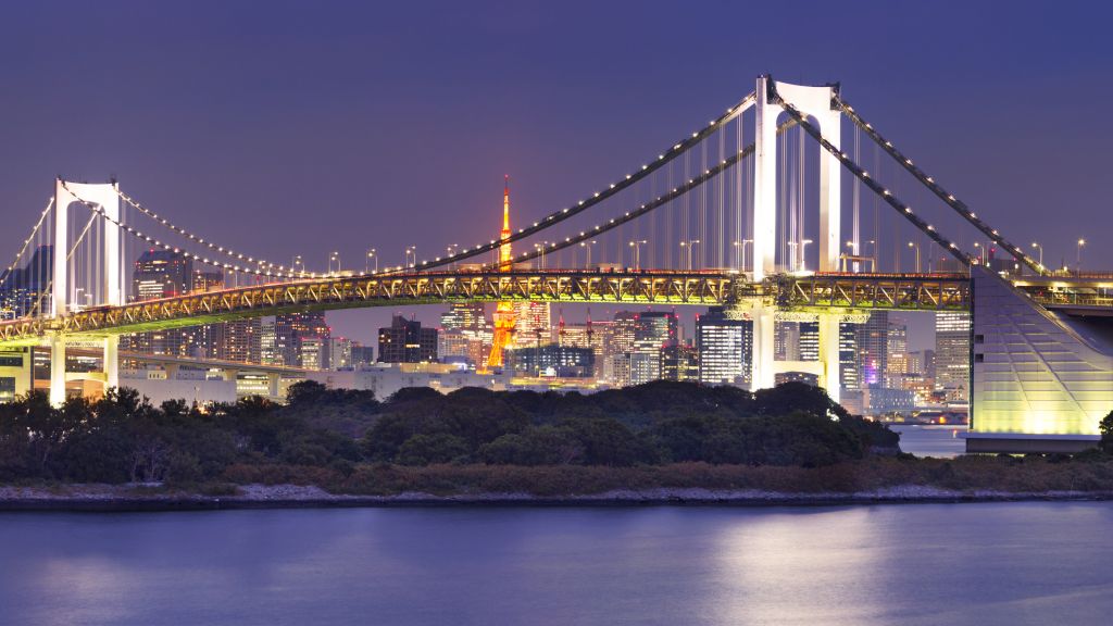 Watch Sinking Cities: Tokyo | Video | Peril & Promise | PBS