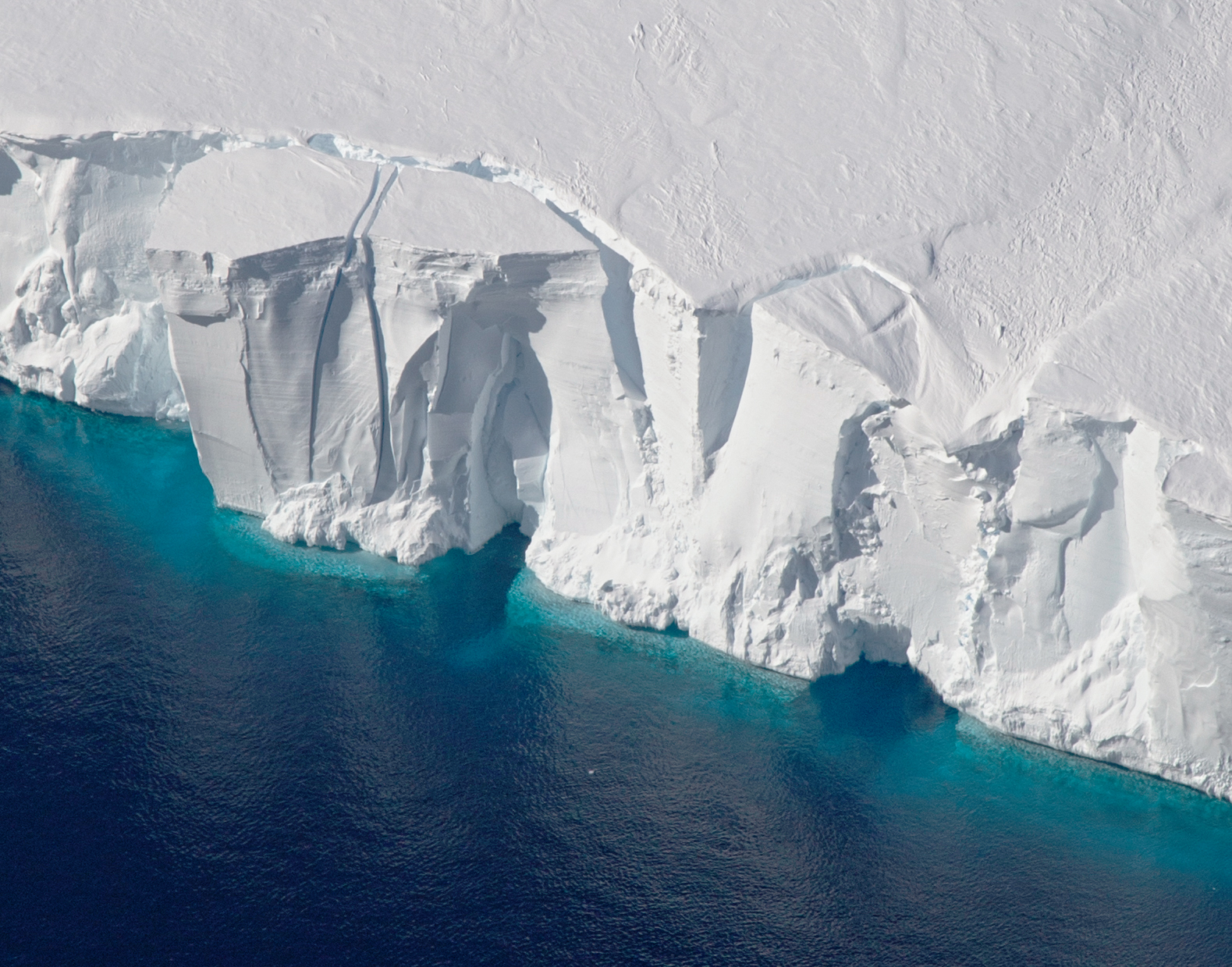 The Conger Ice Shelf Collapse Left Scientists Surprised, But Not Hopeless