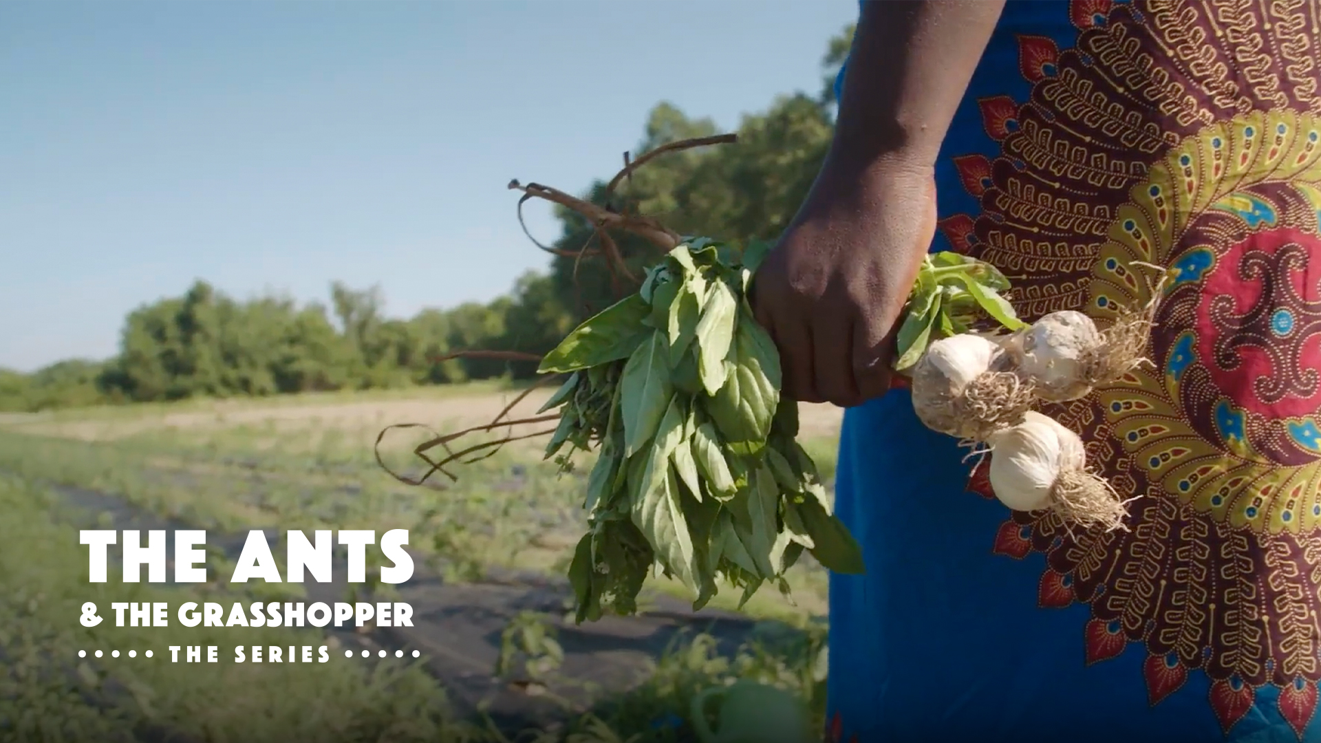 Black Farmers are Already Responding to Climate Change. Here’s How.
