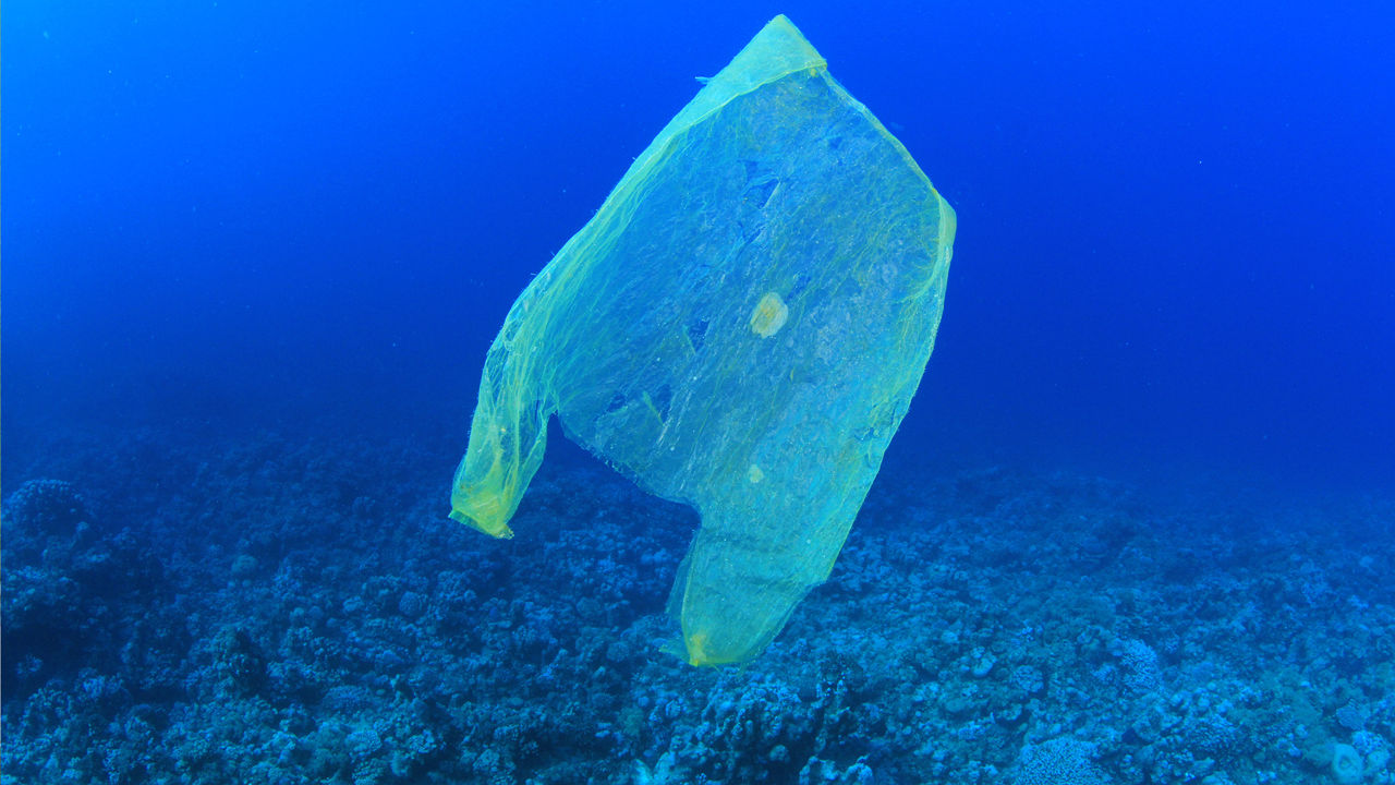 How Single Use Plastics Hurt Our Oceans and Warm Our Planet