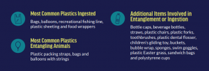 How Single Use Plastics Hurt Our Oceans and Warm Our Planet