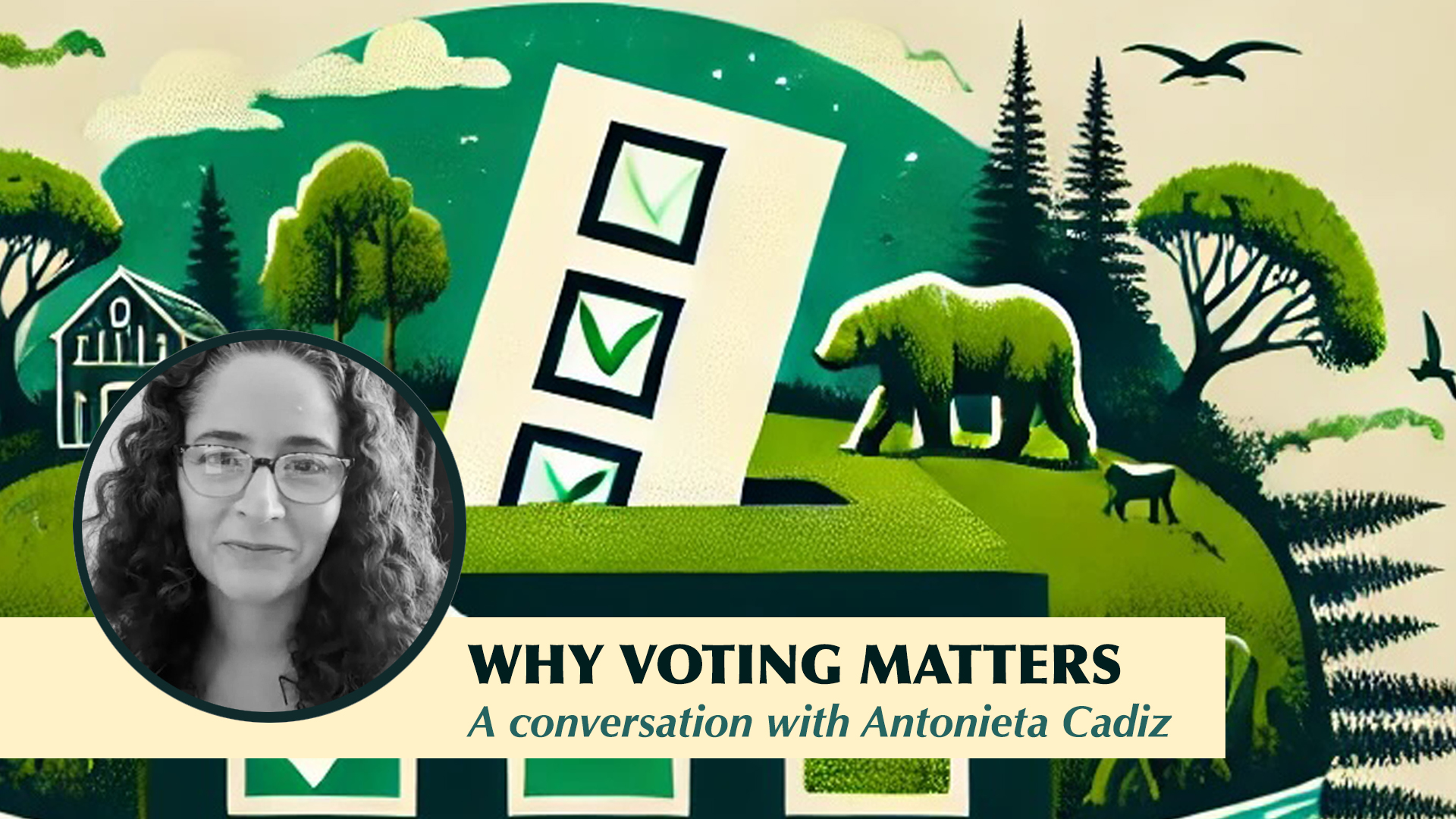 Why Voting Matters | Video | Preserving Democracy | PBS