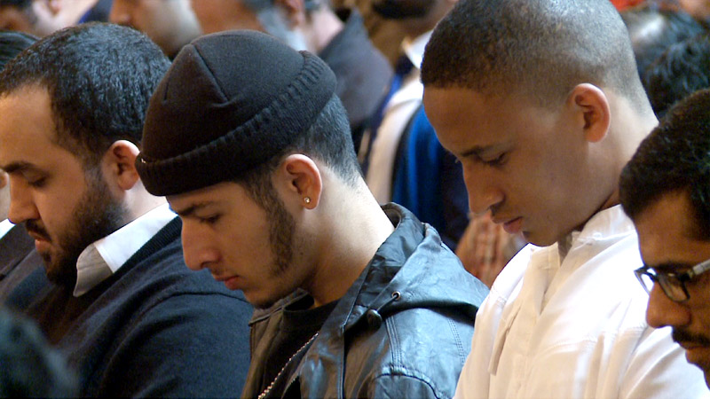 Muslim Initiatives Against Extremism; India's Sacred Cows; Women's ...