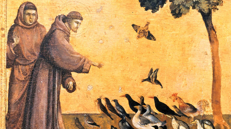 Blessing of the Animals | October 7, 2016 | Religion & Ethics ...