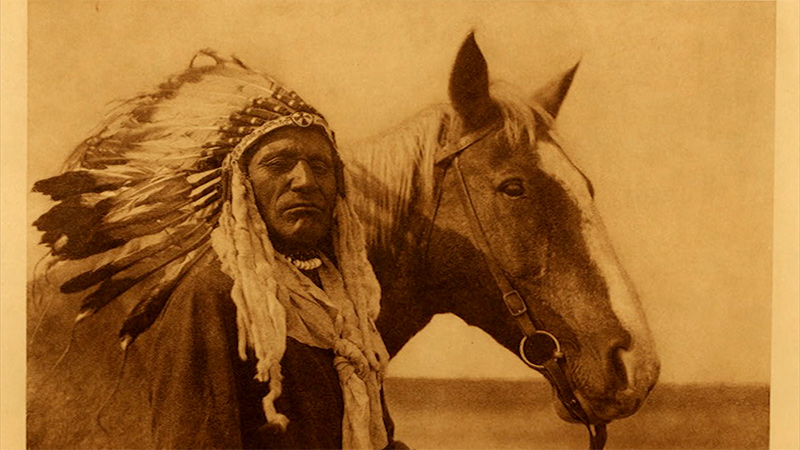 Restoring the Buffalo; Larry Brilliant; Bethlehem’s Holy Family ...