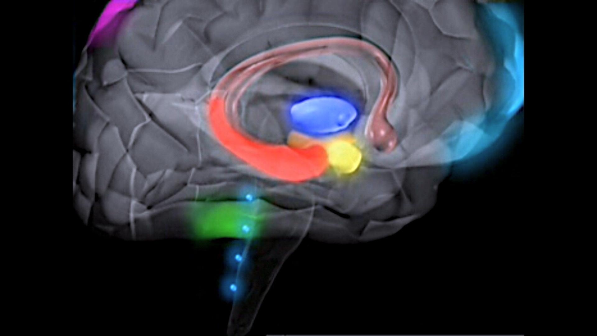The interplay between Religious Experiences and the Brain | September ...