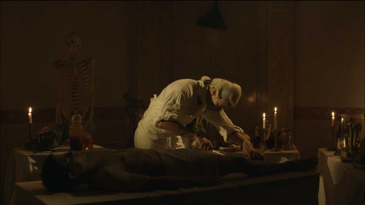 Ben Franklin's Bones | William Hewson’s Experiments and the Craven ...