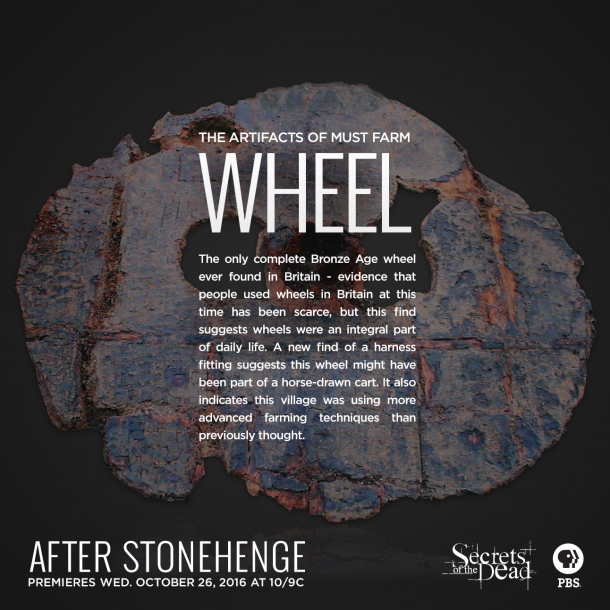 After Stonehenge | Infographic: Extraordinary Discoveries at the Must ...