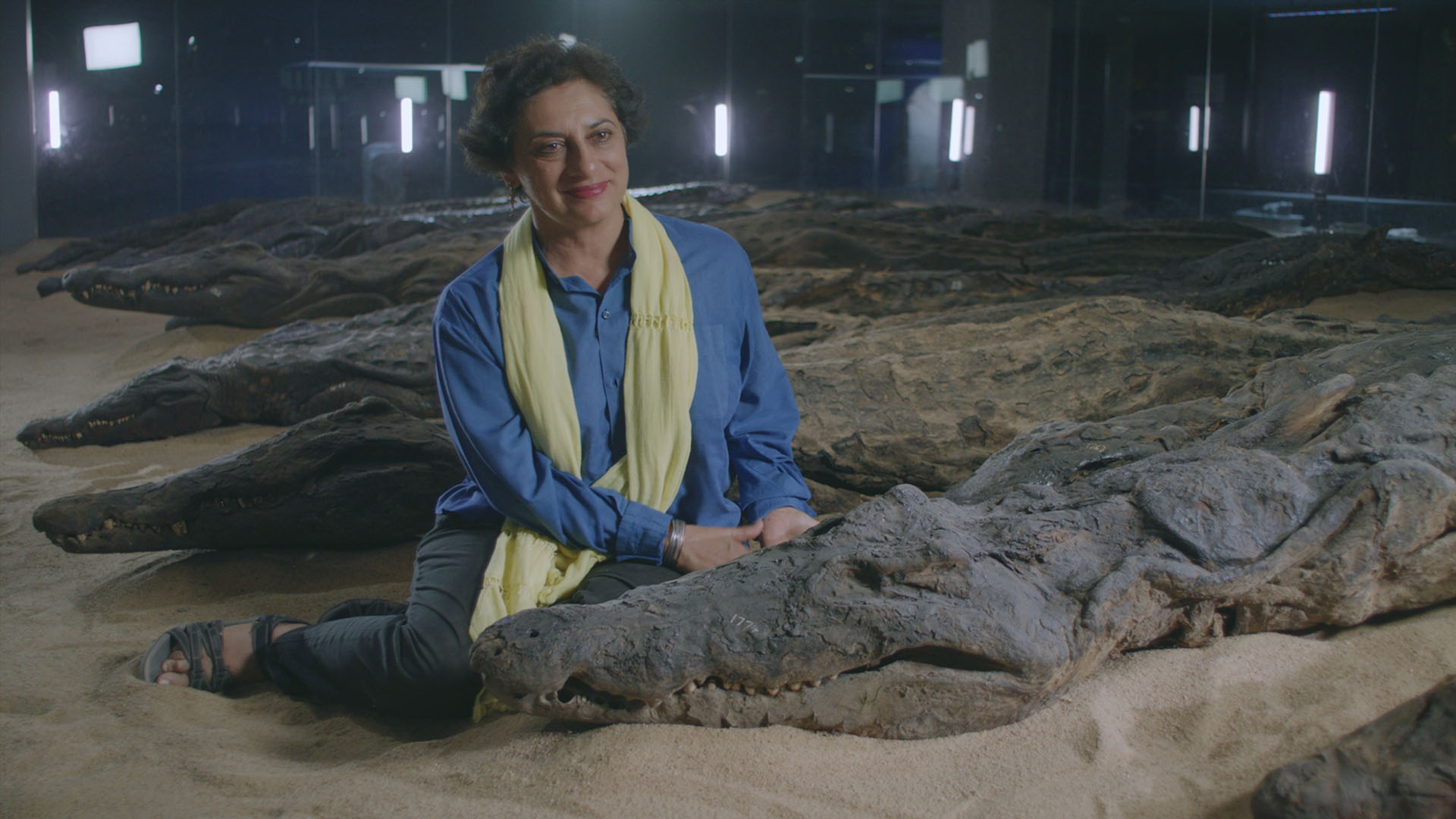 Egypt's Darkest Hour | Sacred Crocodile Mummies Reveal the Climate of ...