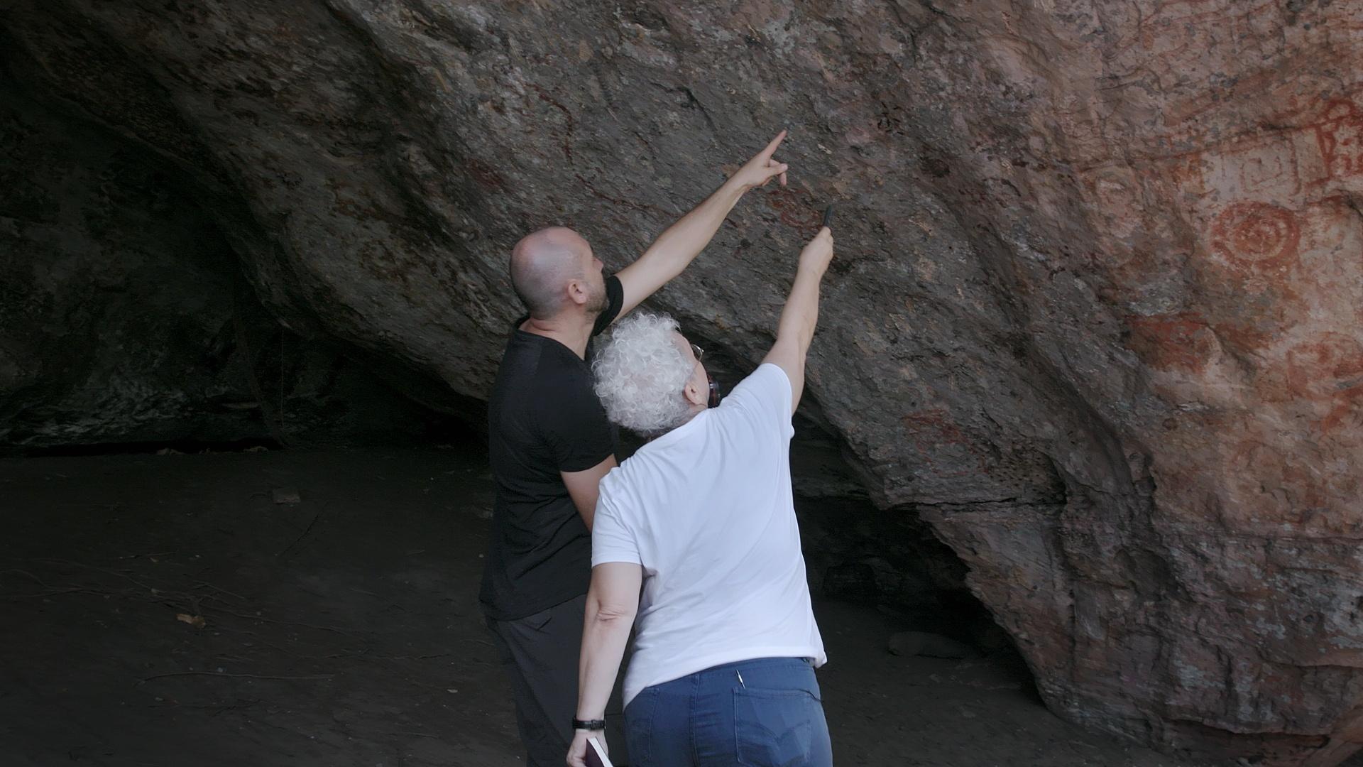 Wasps Surround Oldest Traces of Human Settlement in Amazonia | Secrets ...