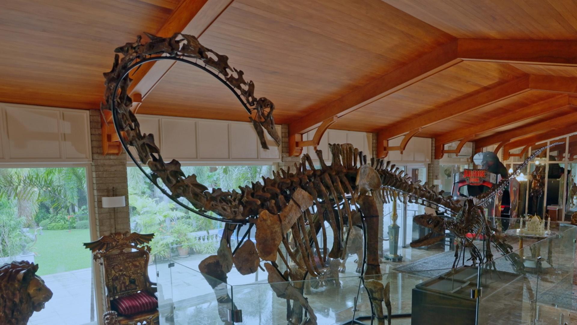 A Collector Shows Off His Dinosaurs | Secrets of the Dead | PBS