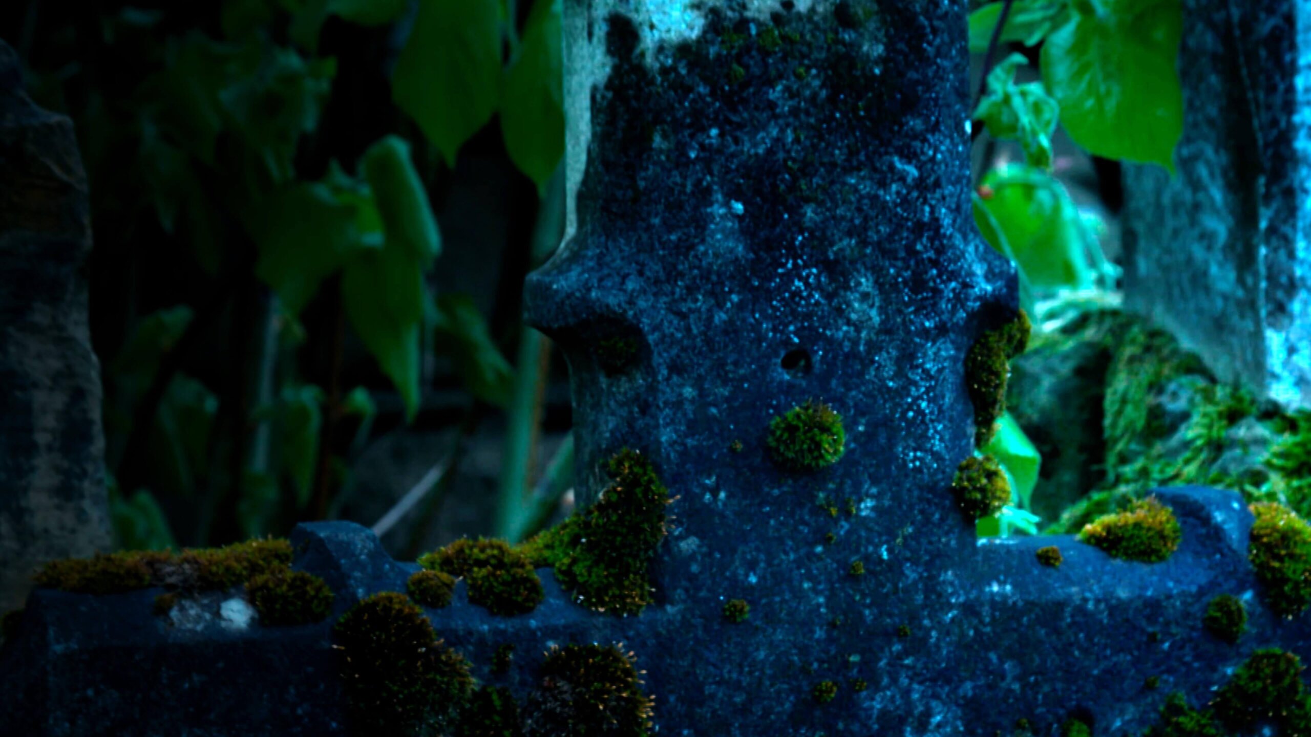 Field of Vampires | About the Episode | Secrets of the Dead | PBS