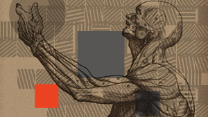 Anatomy of a Scene | Infographic | Shakespeare Uncovered | PBS